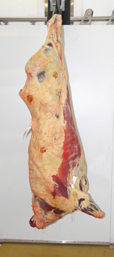 AHDB Virtual Beef and Lamb